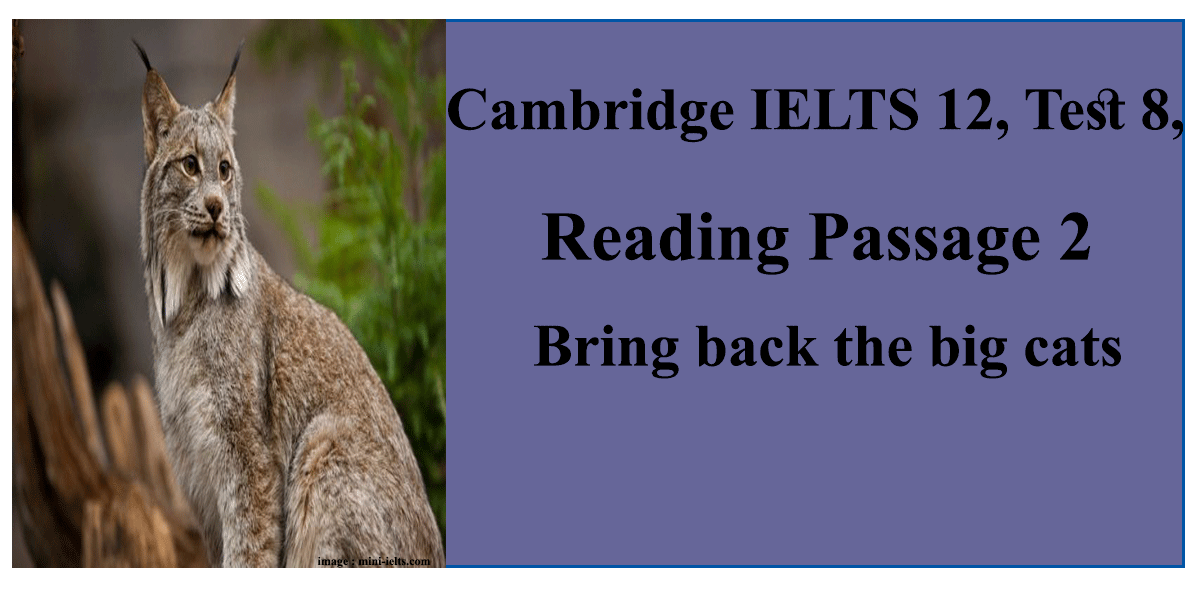 Cambridge IELTS 12, Test 8, Reading Passage 2 : Bring back the big cats ...
